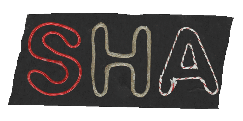 sashahermananimation